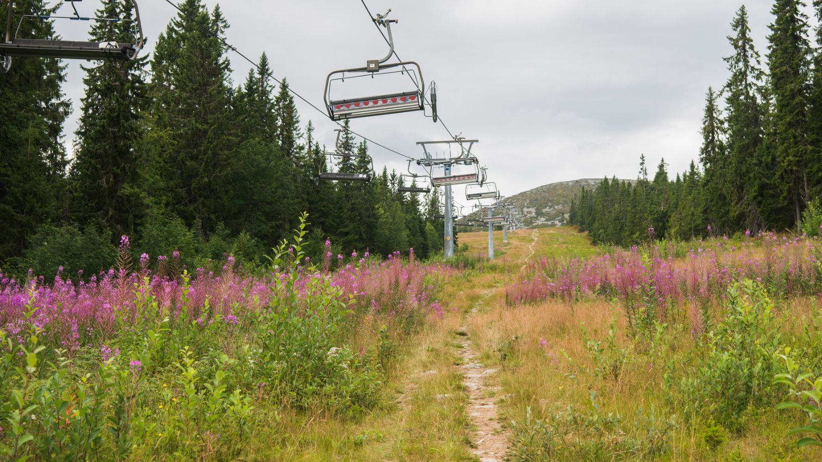 Ski Resorts Aren't Just For Winter: 11 Four Season Resorts With ...